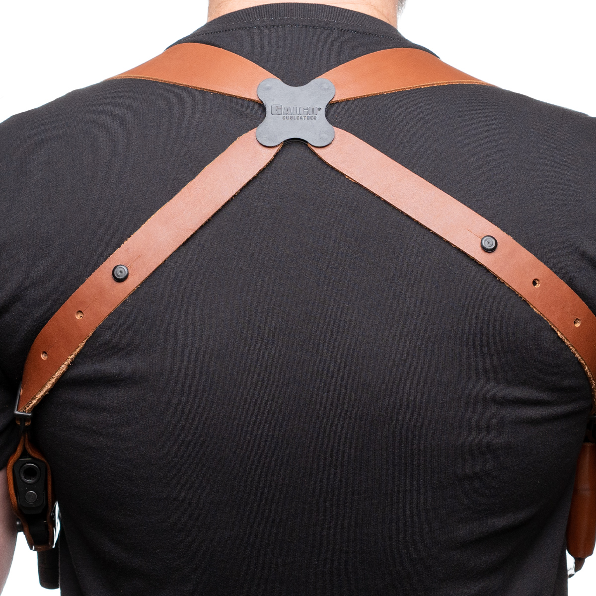 Back Holster System